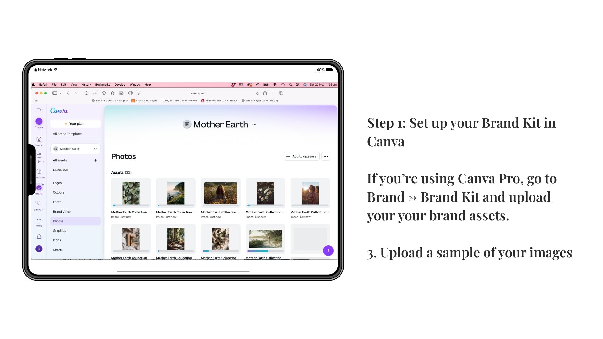 Update Any Canva Template with Your Branding | The Brand Alchemists